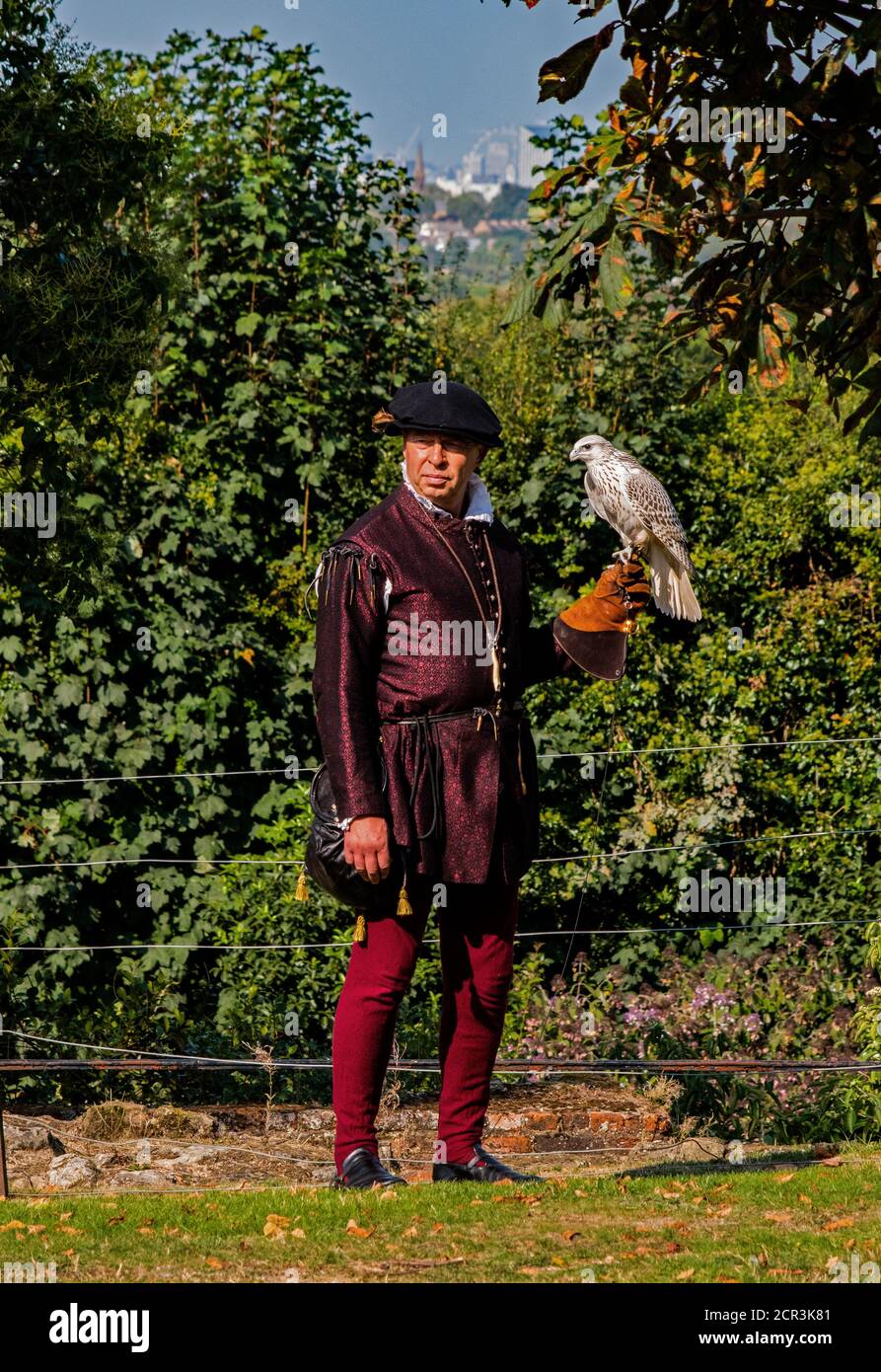 Falconer at Eltham Palace display. With Gyr Falcon Stock Photo - Alamy