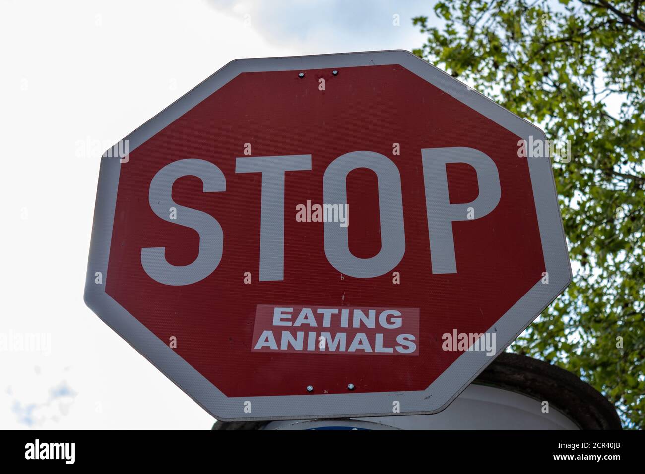 Low angle shot of a "stop eating animals" sign Stock Photo - Alamy