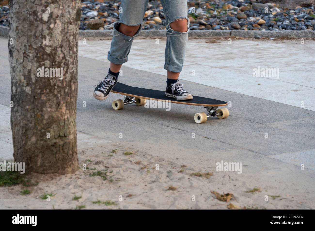 Girl rides a longboard Stock Photo - Alamy