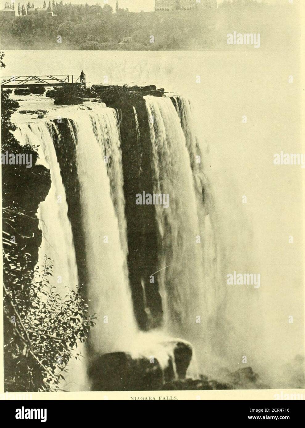 William j bryan campaign hi-res stock photography and images - Alamy