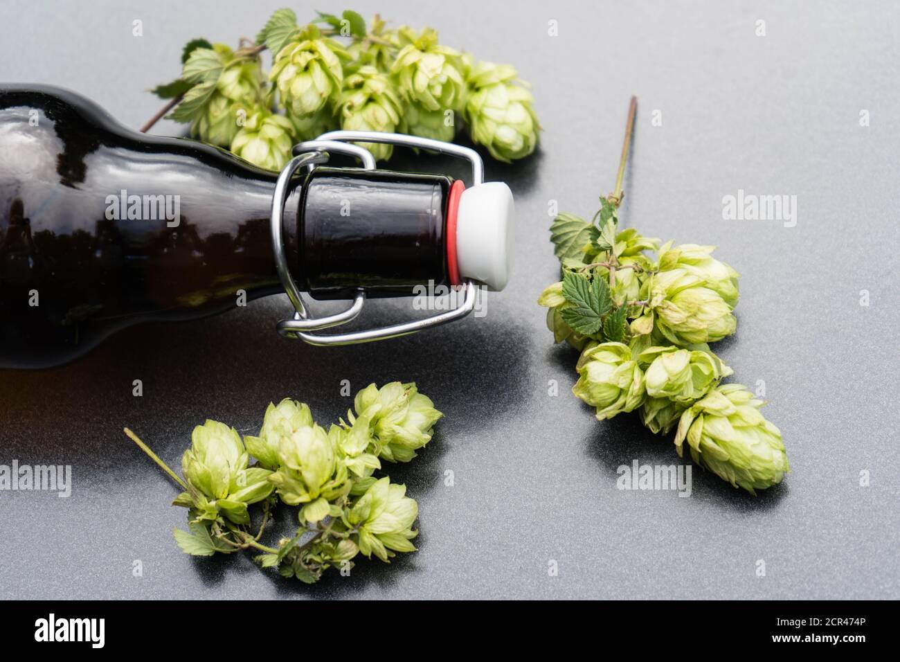 Fresh green hops a component for brewing beer Stock Photo - Alamy