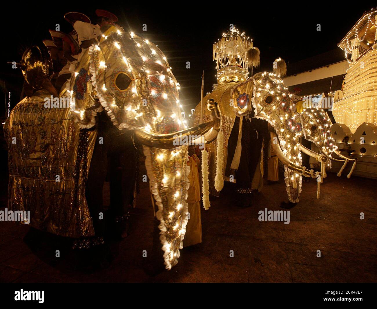 Kandy esala perahera elephant hi-res stock photography and images - Alamy