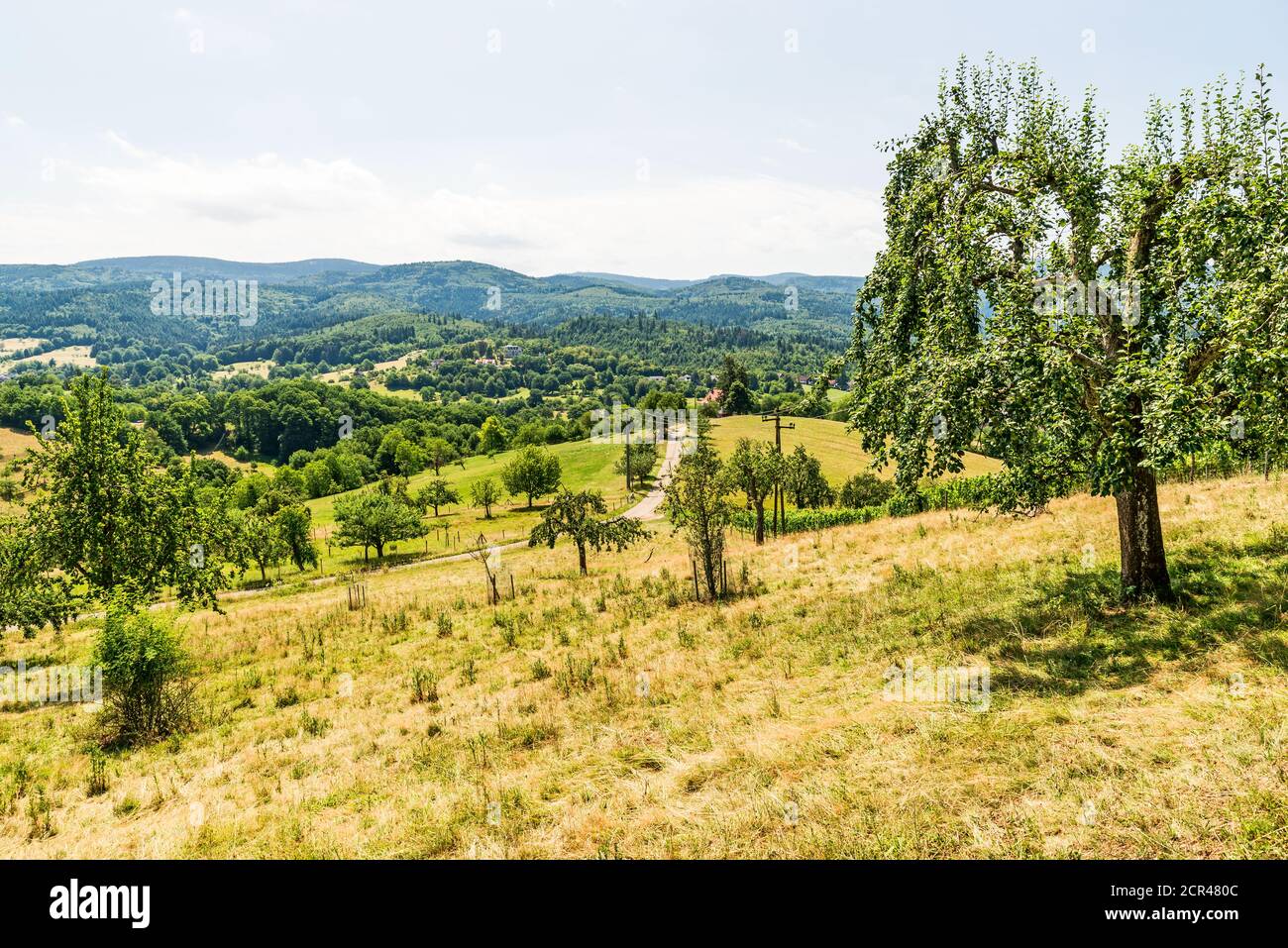 Panoramic view over grassland hi-res stock photography and images - Alamy