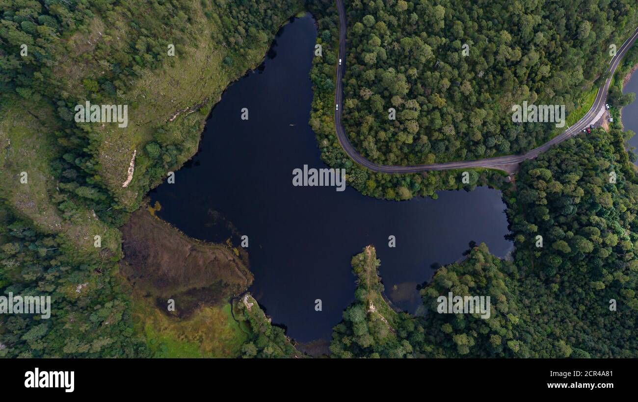 Mexico forest aerial hi-res stock photography and images - Alamy