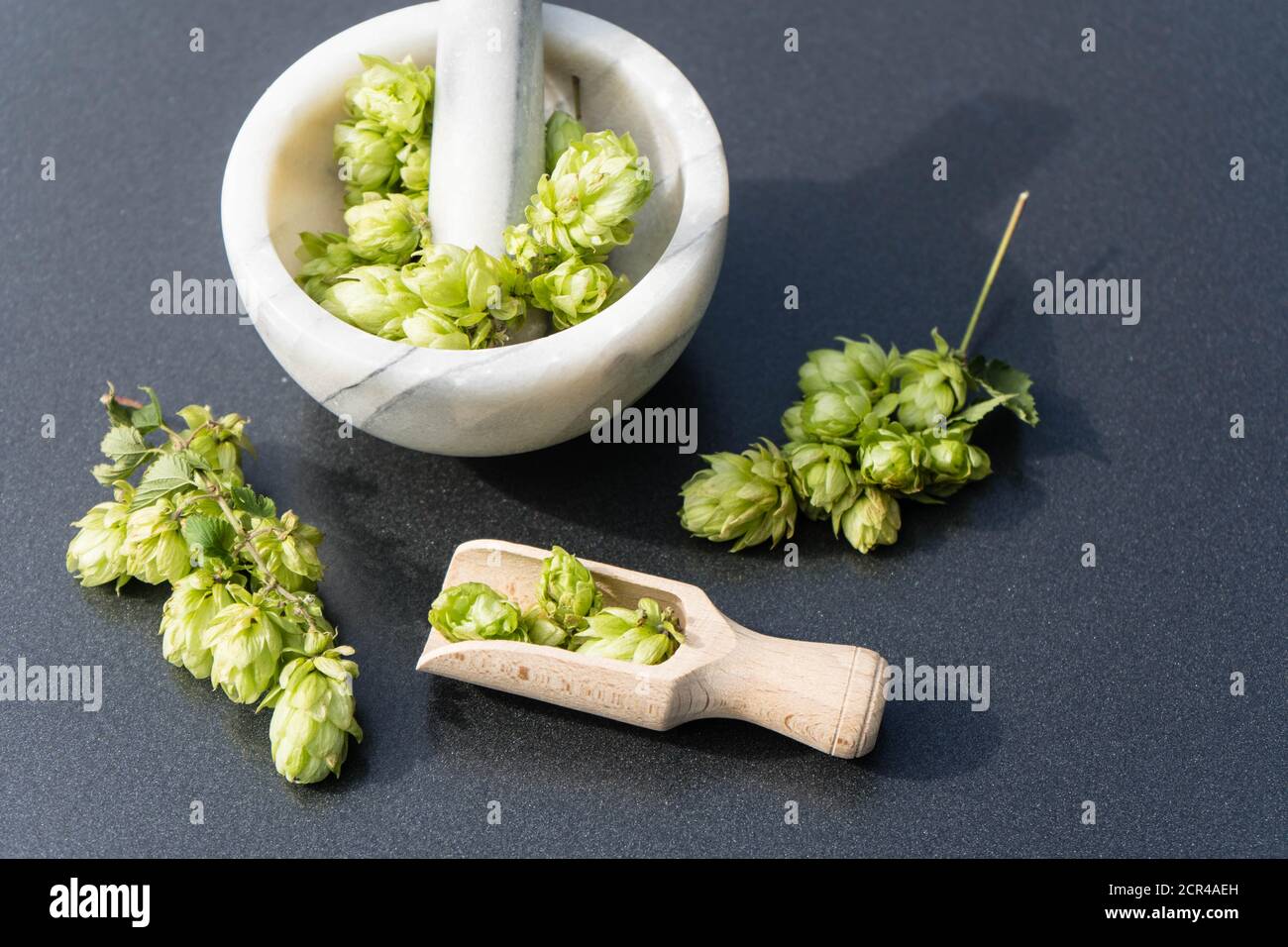 Fresh green hops a component for brewing beer Stock Photo - Alamy