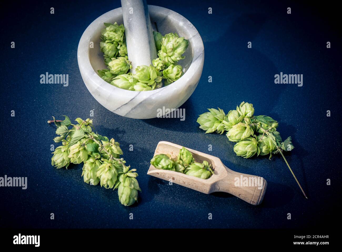 Fresh green hops a component for brewing beer Stock Photo - Alamy
