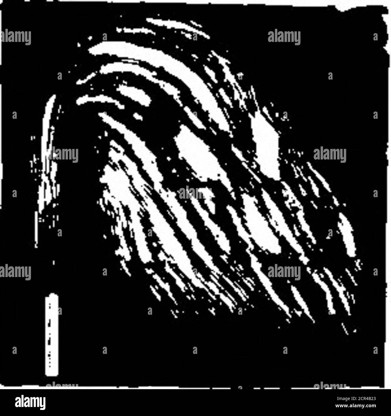 97 feet Cut Out Stock Images & Pictures - Alamy