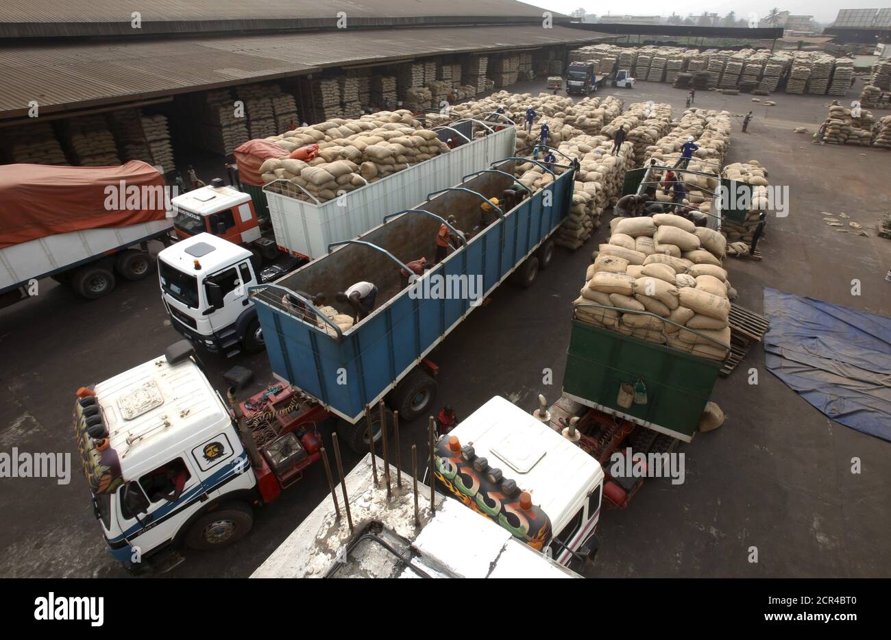 Cacao ivory coast hi-res stock photography and images - Alamy