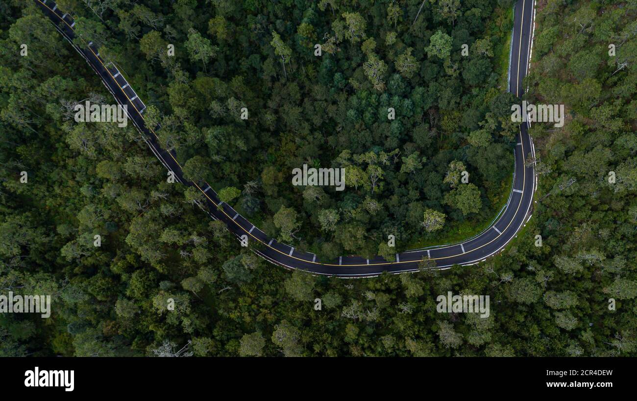 Curvy lane road in forest, aerial top down view from drone Stock Photo ...