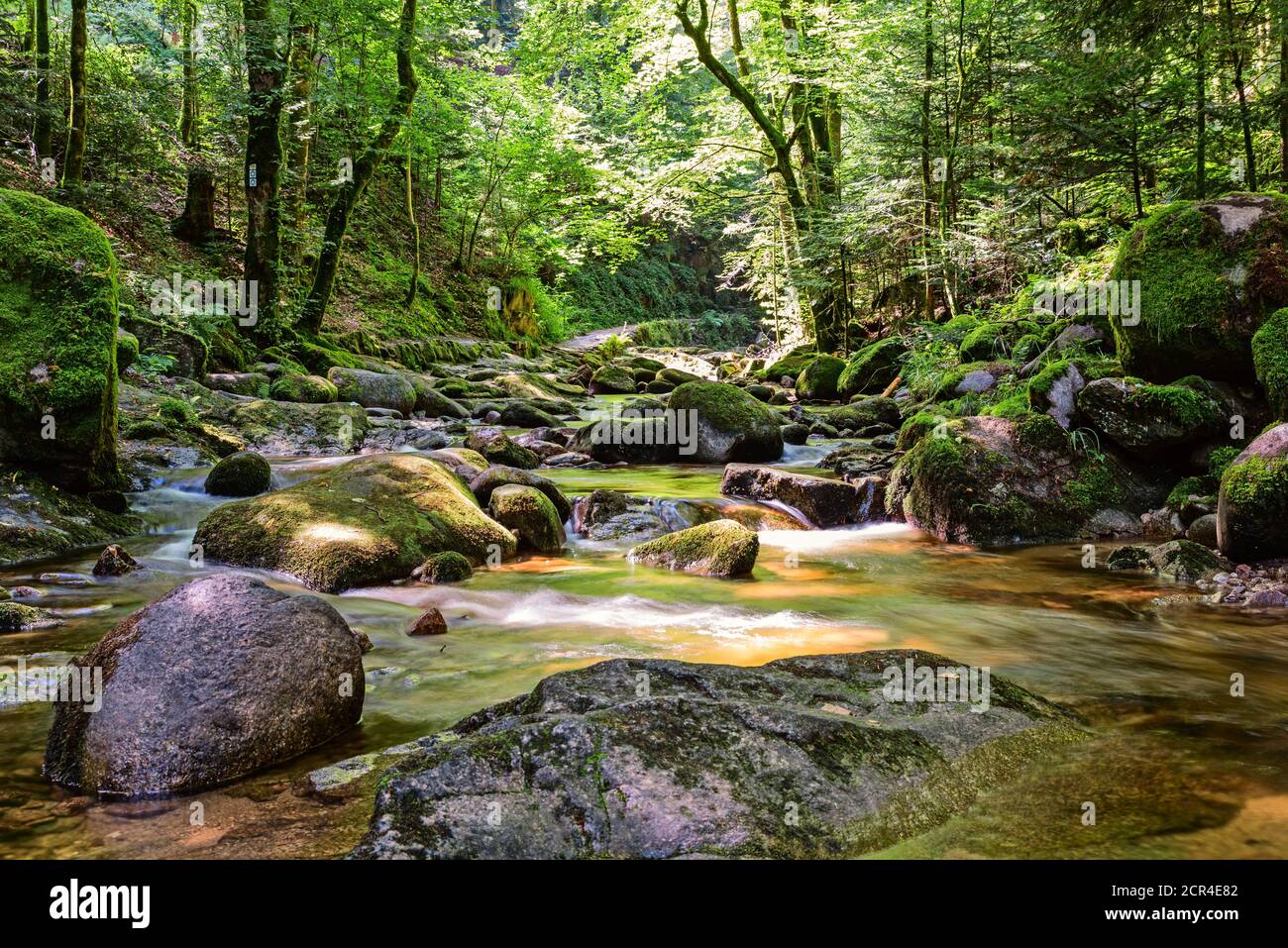 The Grobbach meanders through a stony stream bed Stock Photo - Alamy