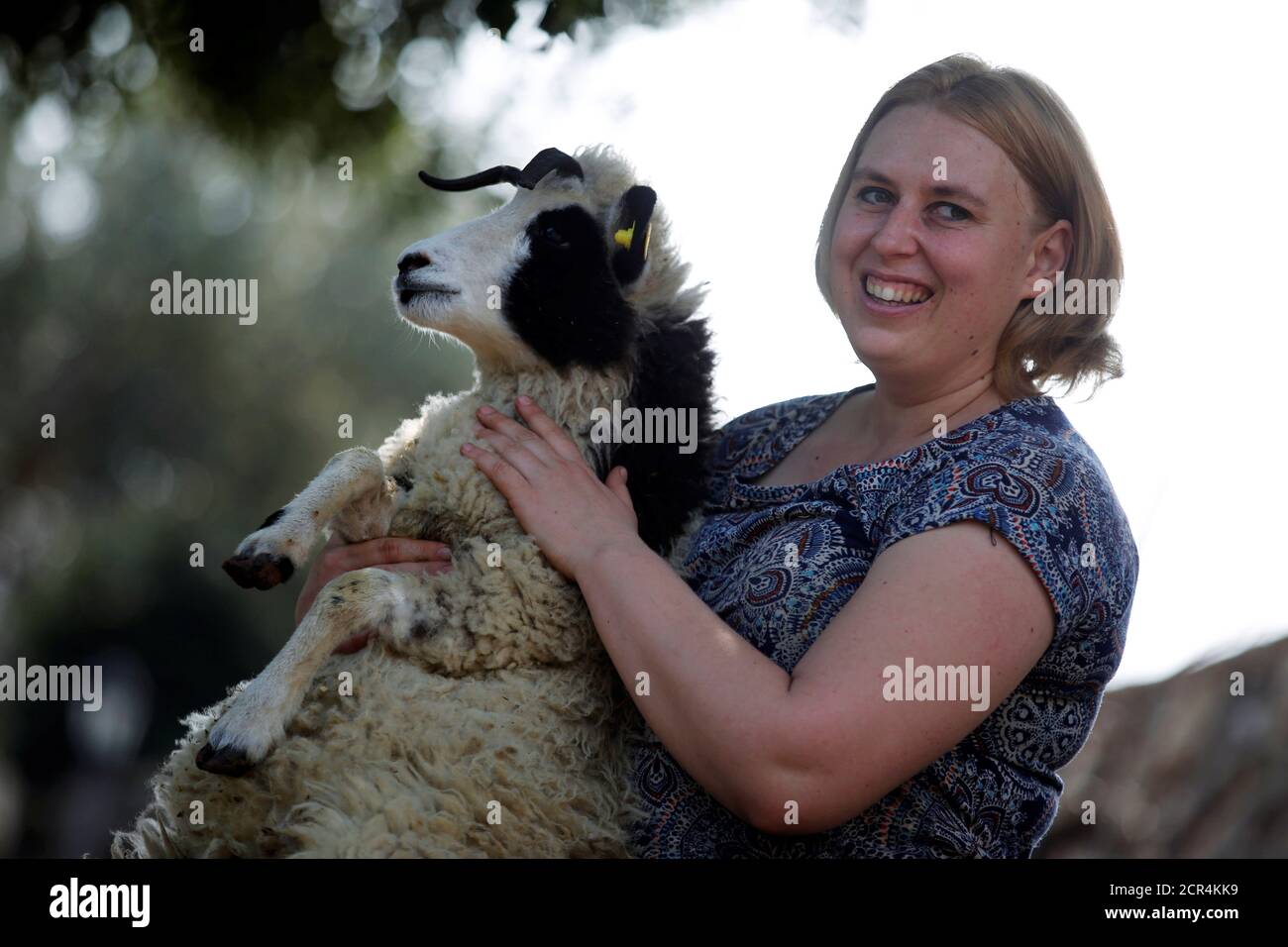 Jacob breed lamb hi-res stock photography and images - Alamy