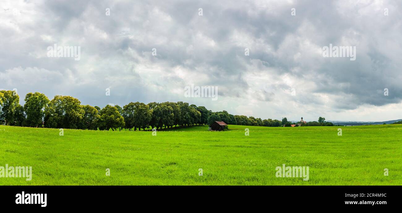 Horizon over trees hi-res stock photography and images - Alamy