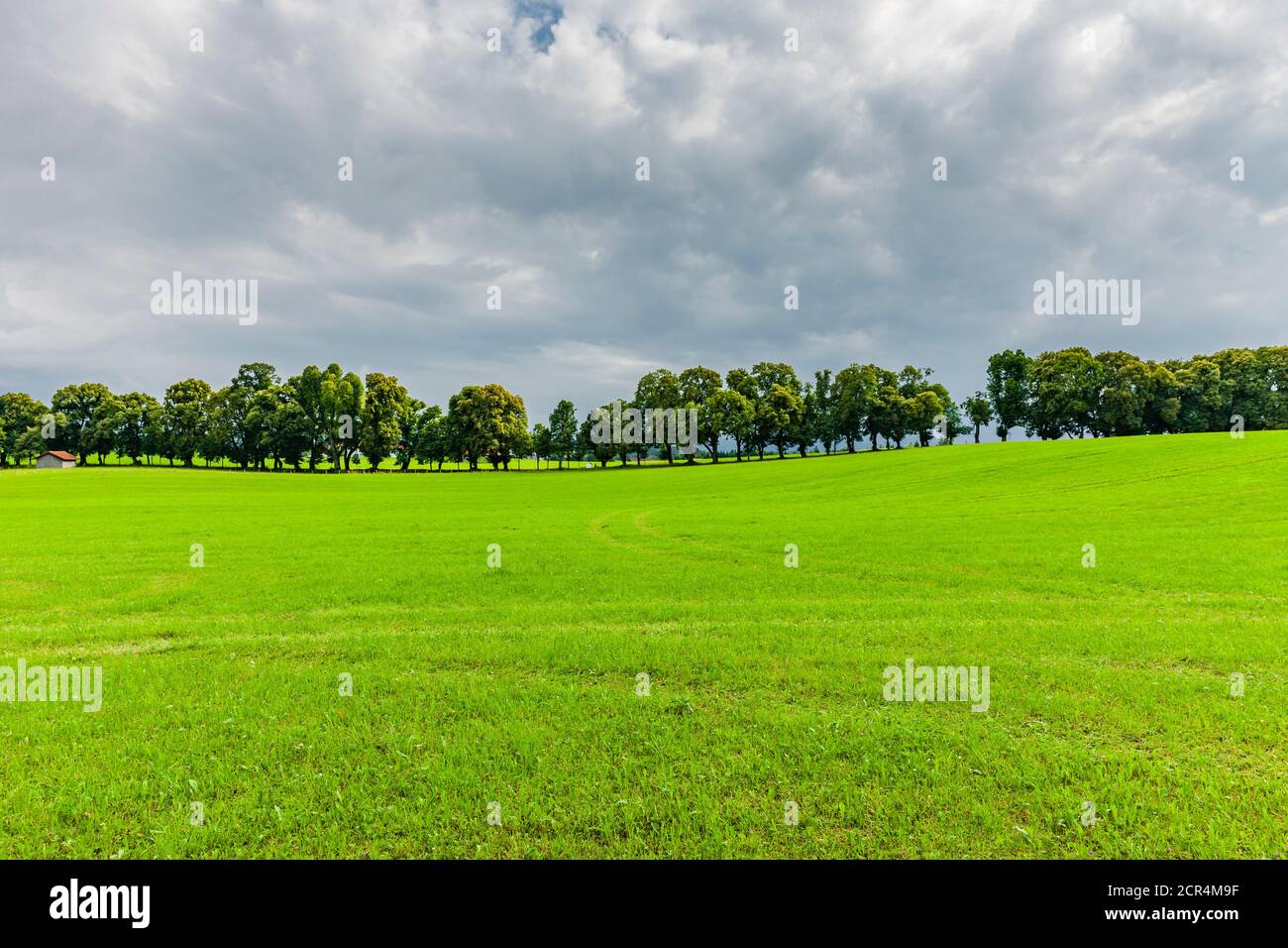 Horizon over trees hi-res stock photography and images - Alamy