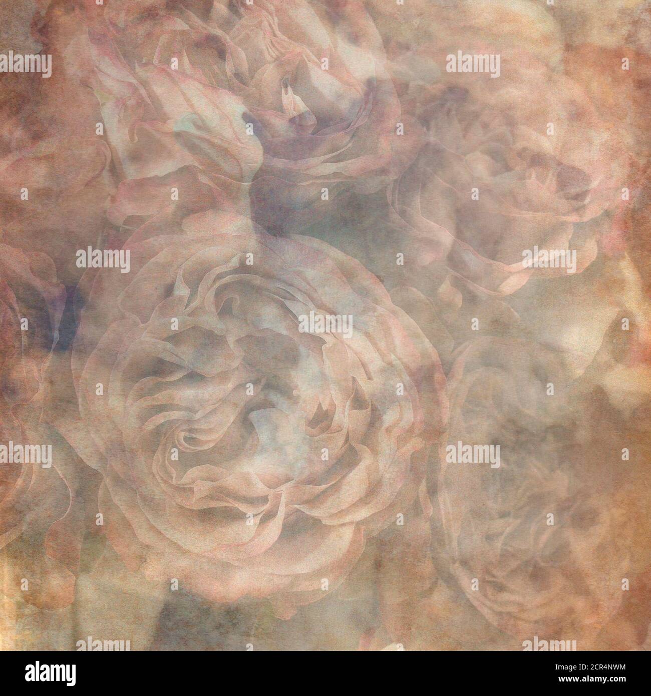 textured old paper background with bouquet of roses Stock Photo - Alamy