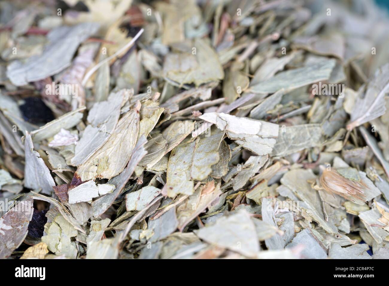 Closeup shot of dried leaves for tea Stock Photo - Alamy
