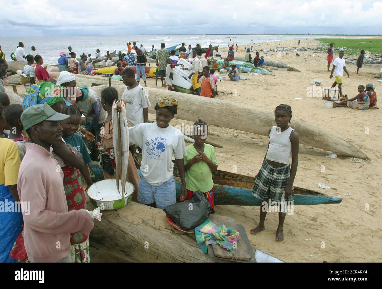 Liberia fish hi-res stock photography and images - Alamy