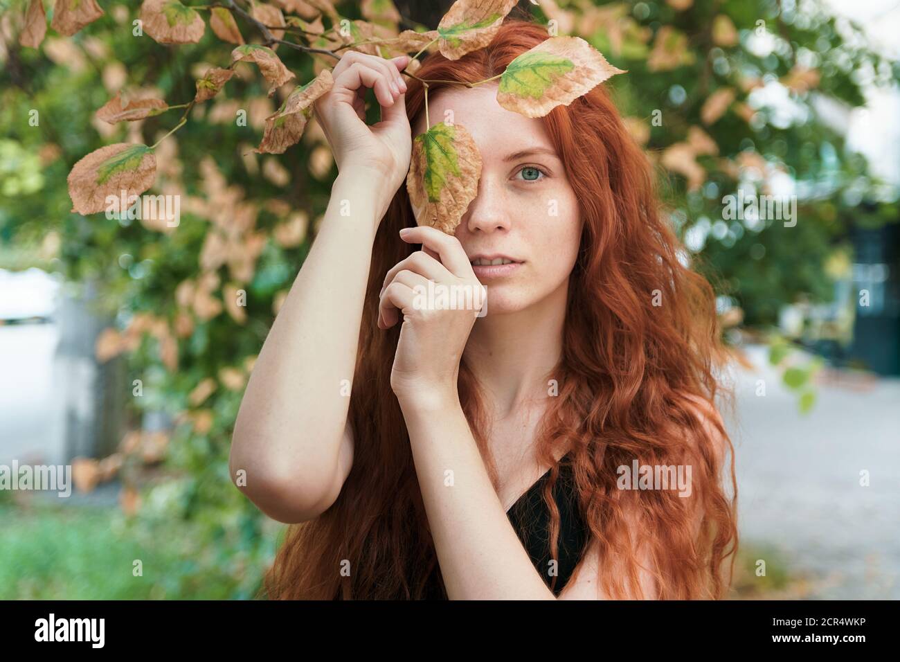 Hairy Ginger Girls Telegraph