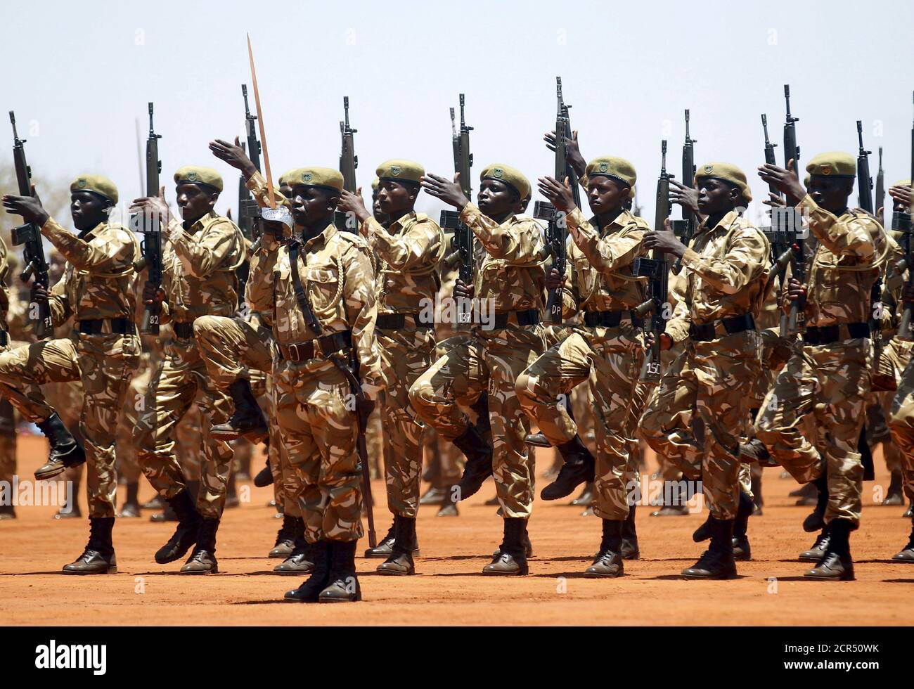 Asian wildlife crime hi-res stock photography and images - Alamy