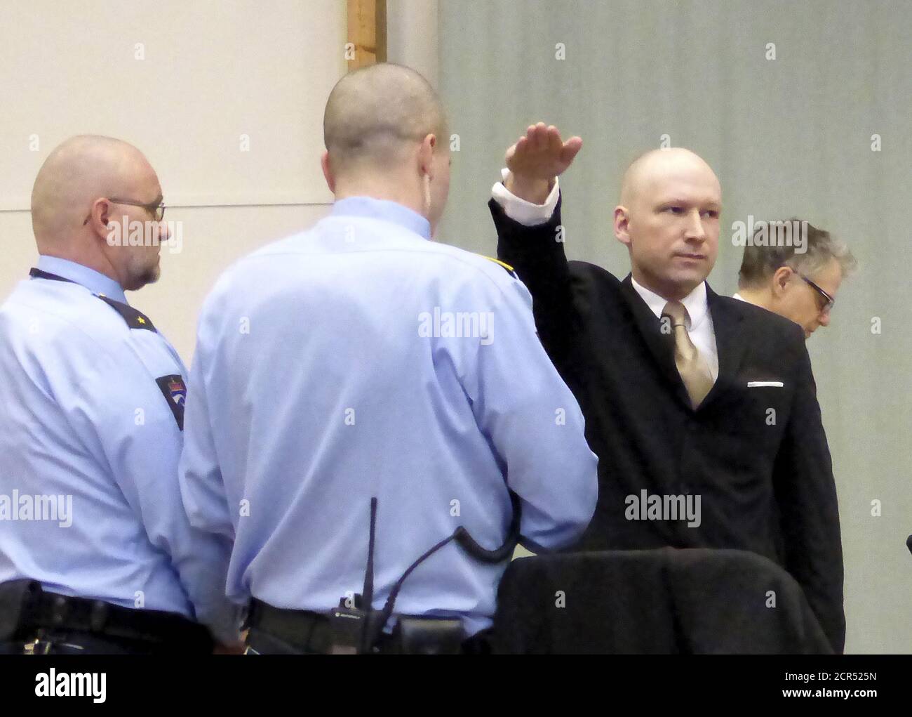 Nazi Salute Arm High Resolution Stock Photography and Images - Alamy