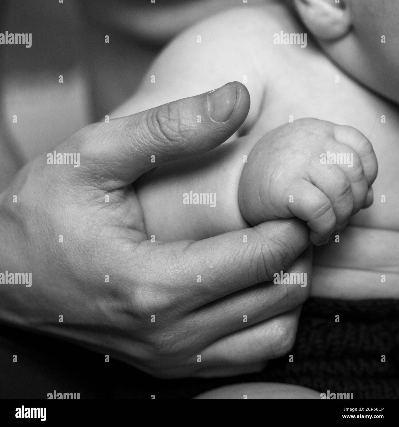 the baby boy holds the finger of his dad with a small hand Stock Photo ...