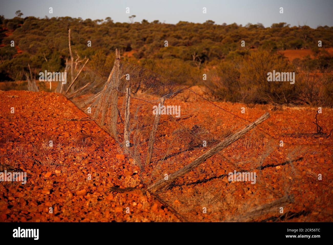 Dingo Fence High Resolution Stock Photography and Images - Alamy