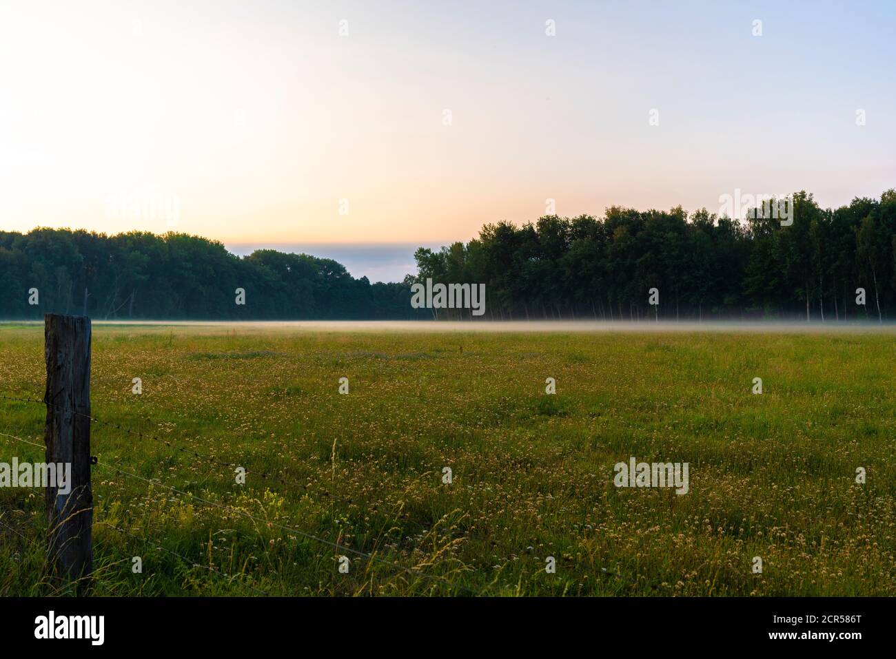 Light mist hi-res stock photography and images - Alamy