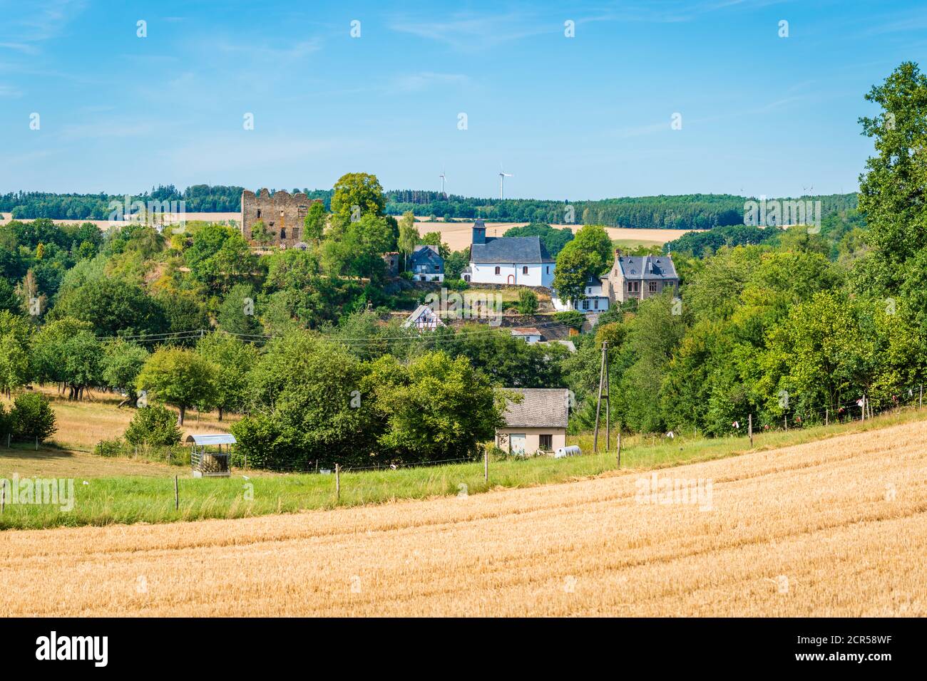 Dill Castle and historical buildings in the village of the same name in ...
