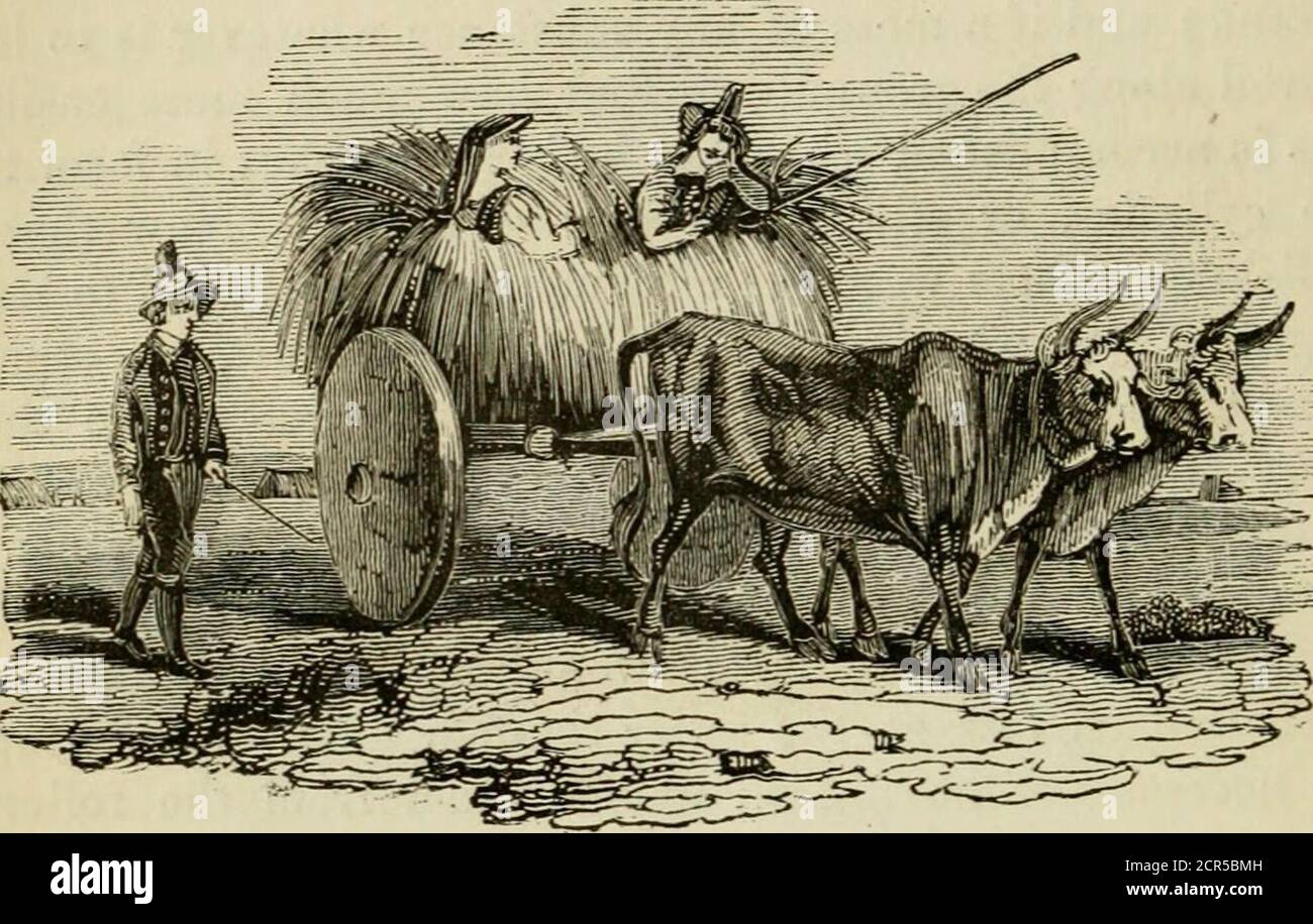 . The roads and railroads, vehicles, and modes of travelling, of ...