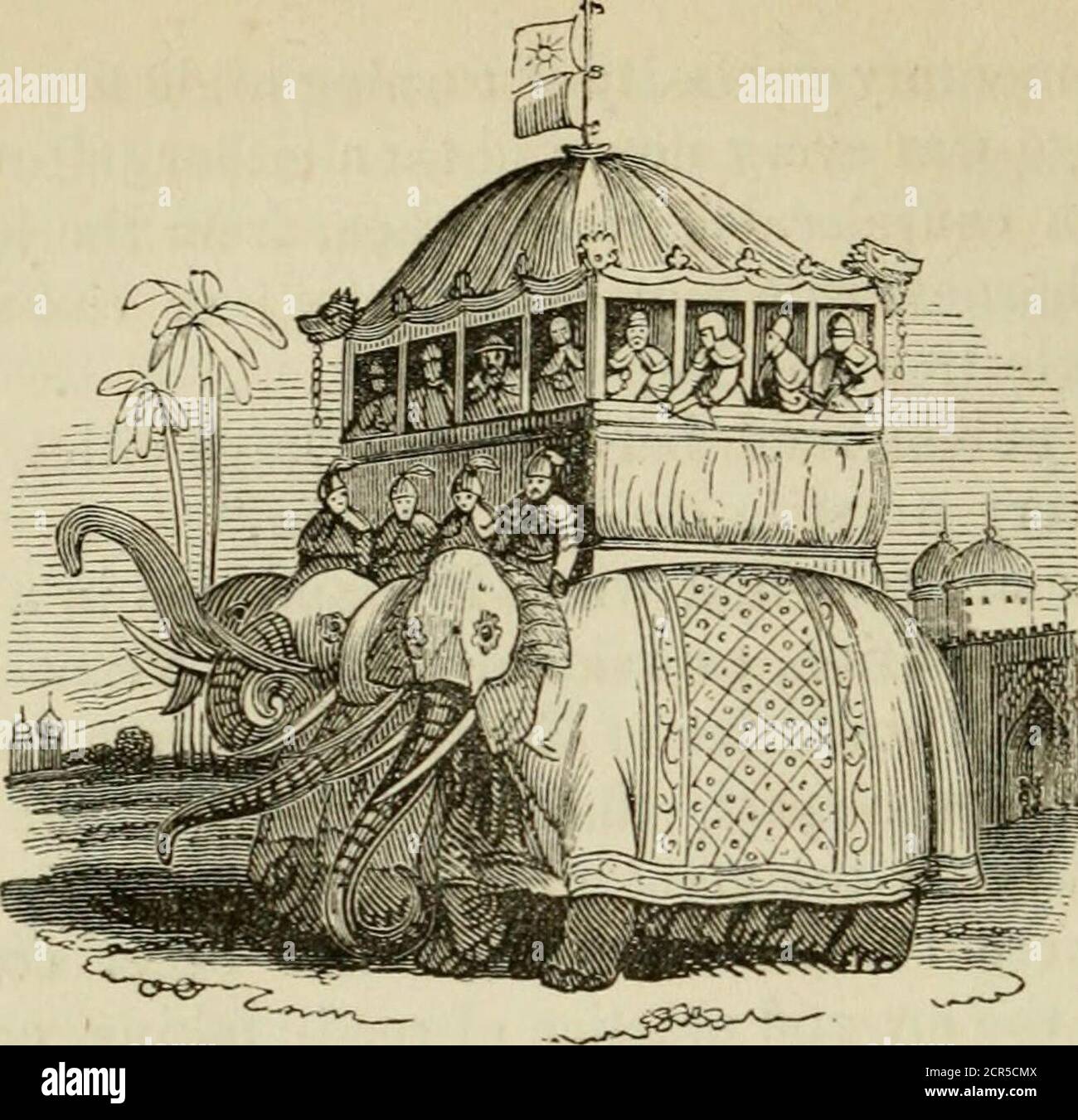 Two wheeled gig hi-res stock photography and images - Alamy