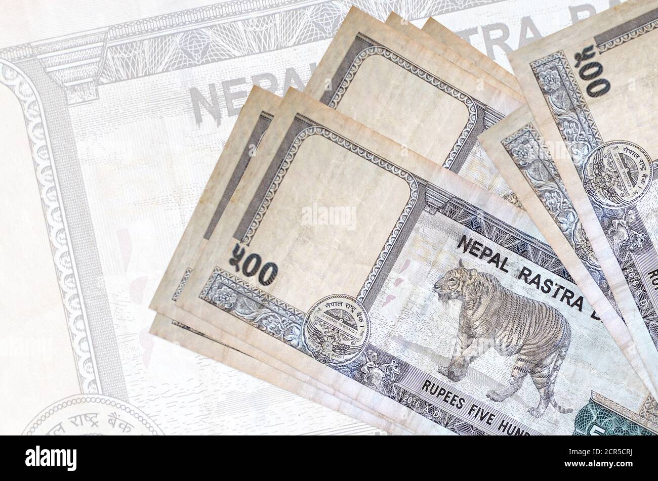 500 Nepalese rupees bills lies in stack on background of big semi ...