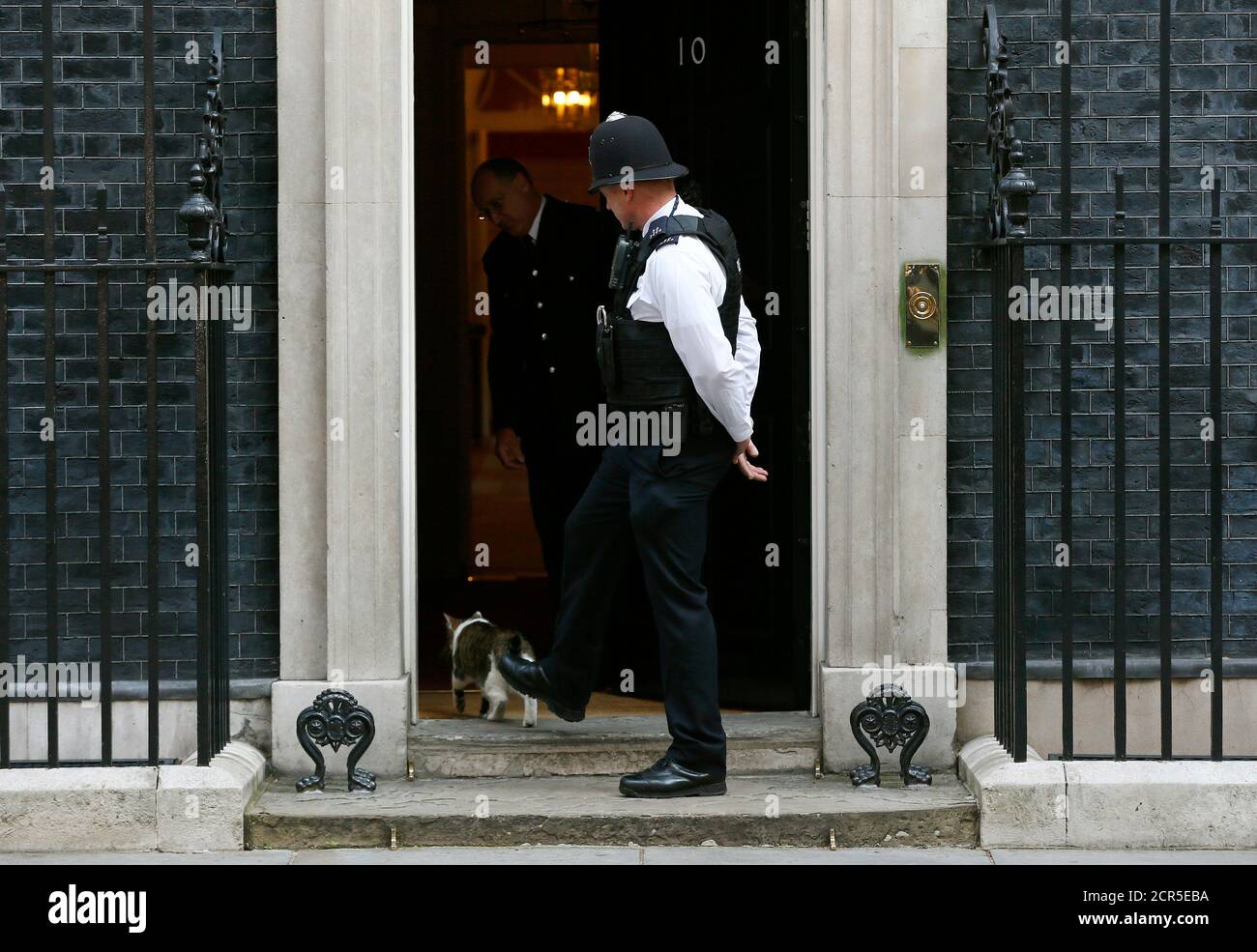 Number 10 cat larry hi-res stock photography and images - Alamy