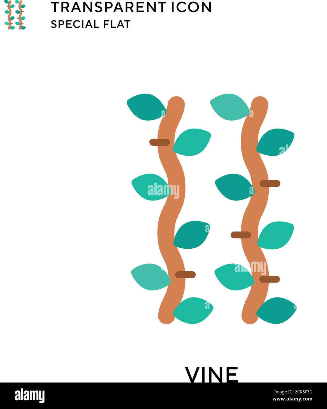 Vine growing vector vectors Cut Out Stock Images & Pictures - Alamy