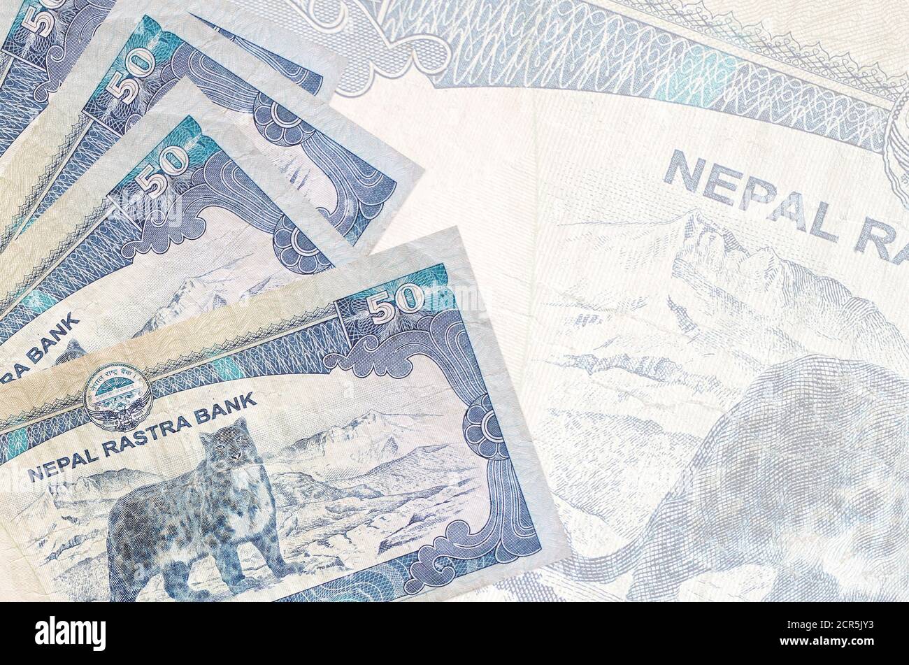 50 Nepalese rupees bills lies in stack on background of big semi ...