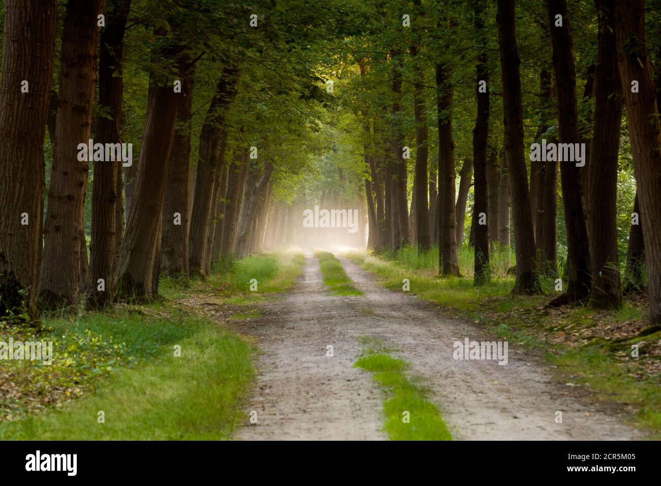 Fog clearing hi-res stock photography and images - Alamy
