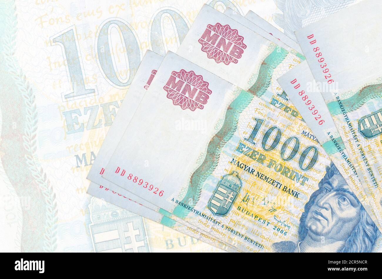 1000 Hungarian forint bills lies in stack on background of big semi ...