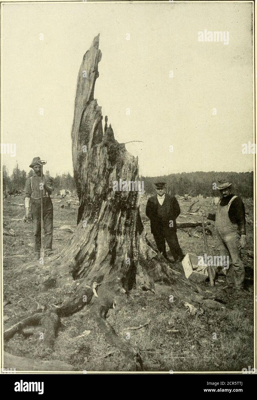 . Improving crop yields by the use of dynamite . enty years ago. After ...