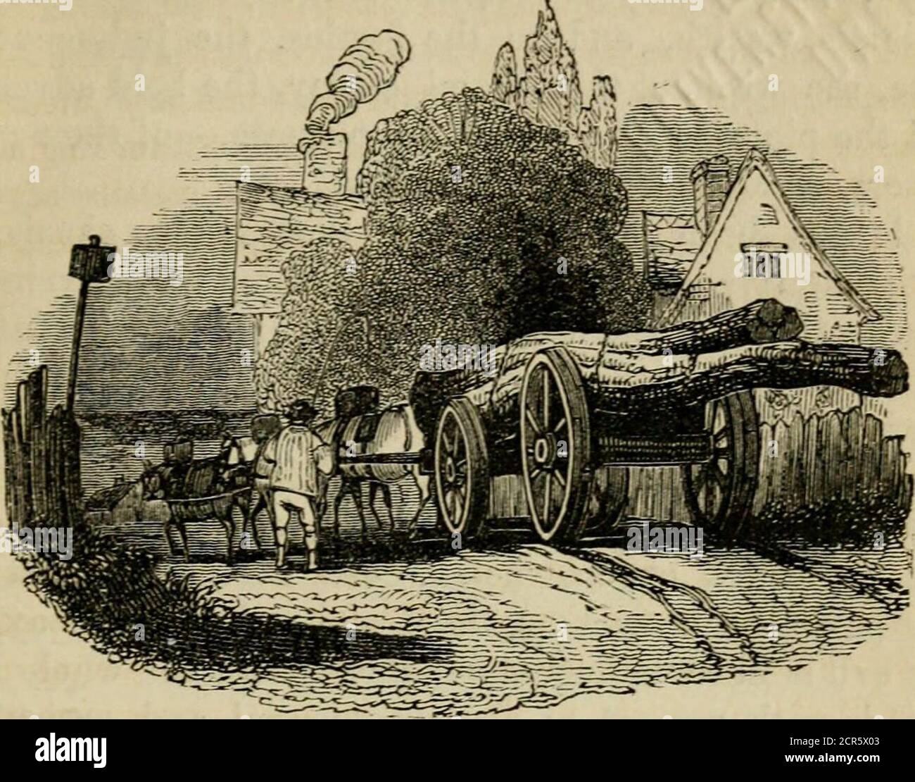 . The roads and railroads, vehicles, and modes of travelling, of ...