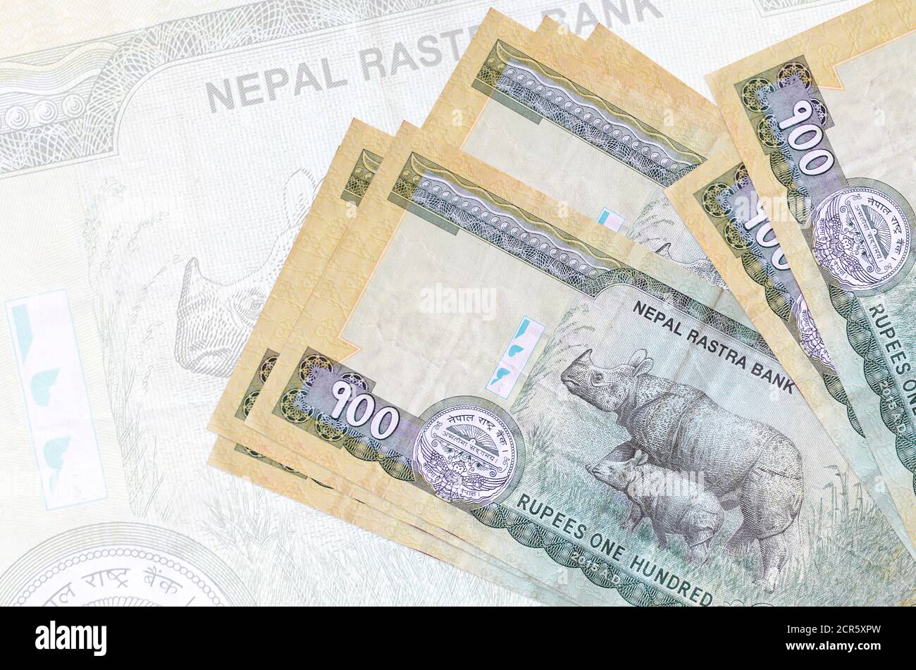 100 Nepalese rupees bills lies in stack on background of big semi ...