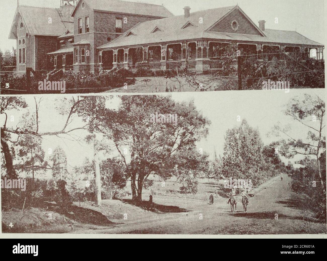 Natal y zululand hi-res stock photography and images - Alamy