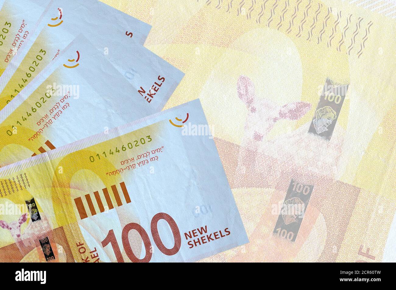 100 Israeli new shekels bills lies in stack on background of big semi ...