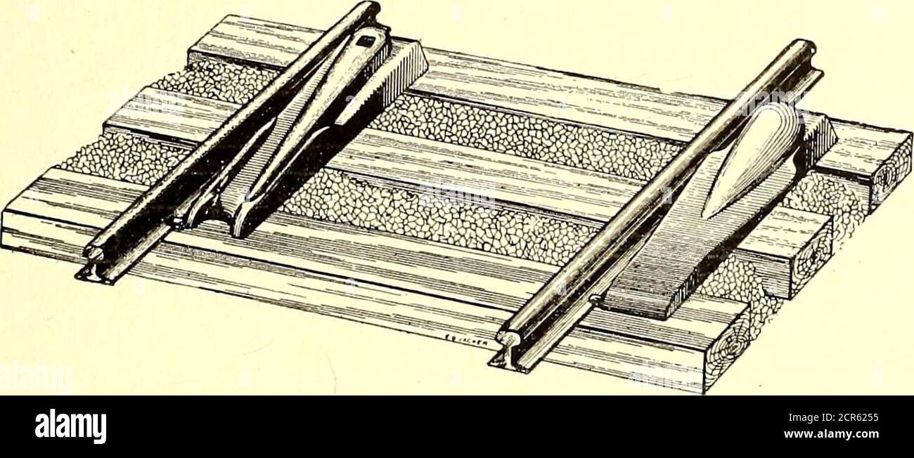 The mount of frogs hi-res stock photography and images - Alamy