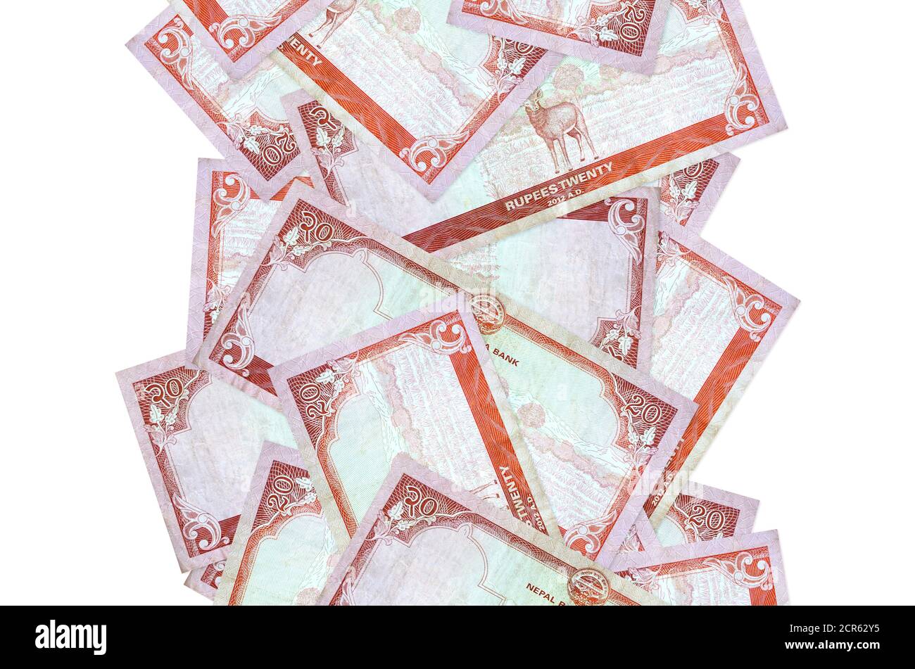 20 Nepalese rupees bills flying down isolated on white. Many banknotes ...