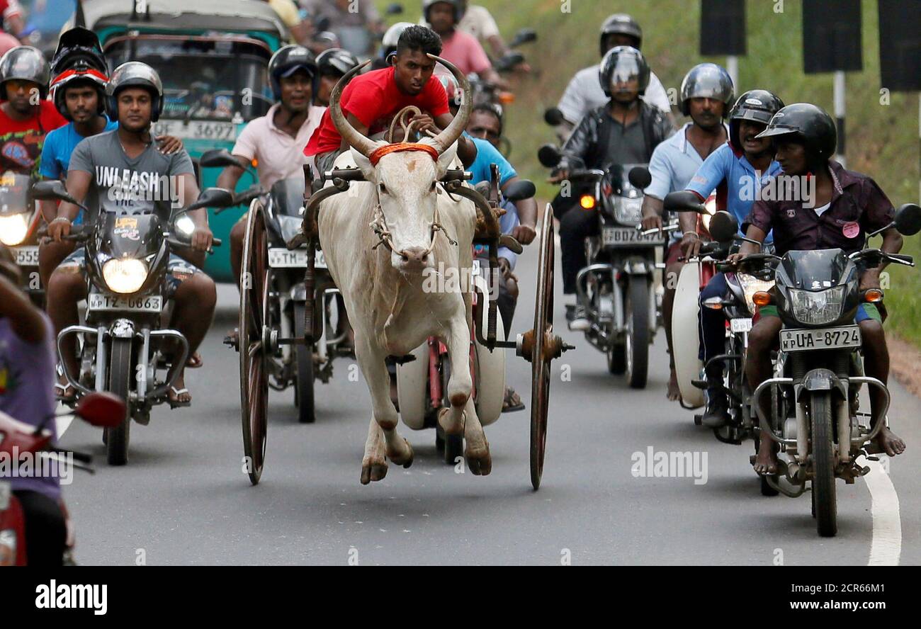 Sinhala and hindu hi-res stock photography and images - Alamy