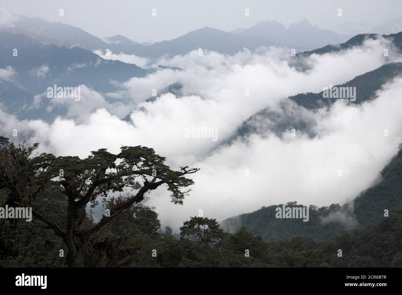 Imaw hi-res stock photography and images - Alamy
