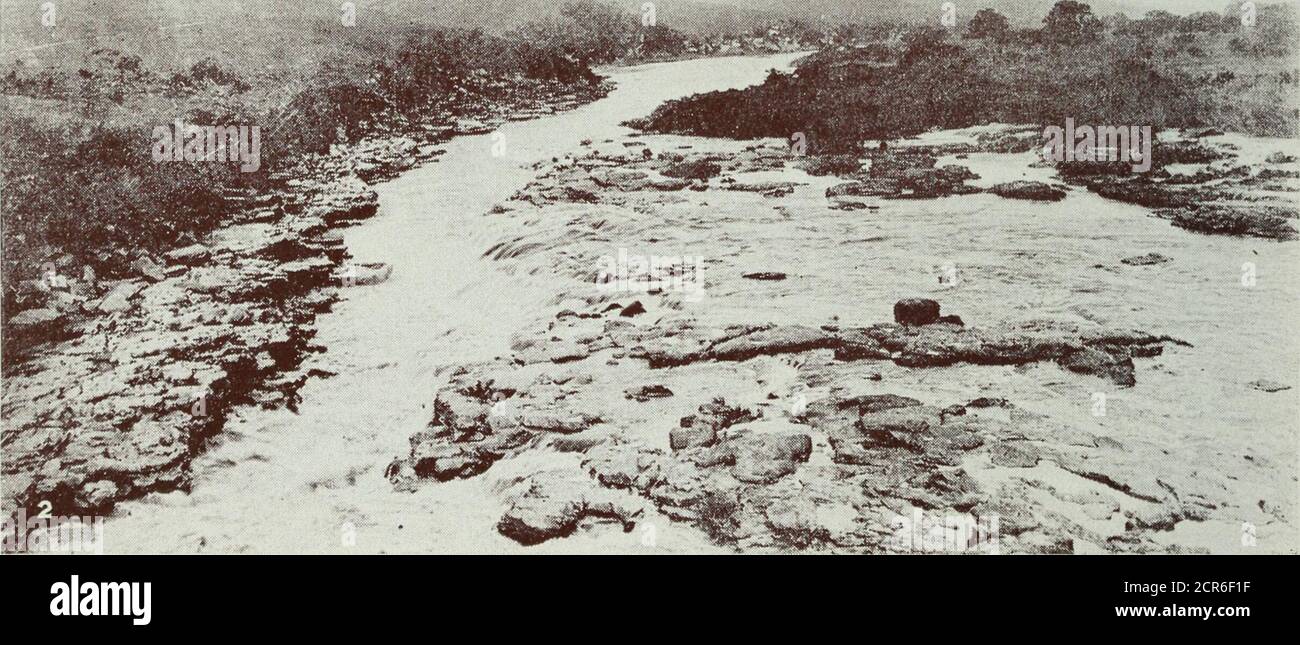 . Natal province : descriptive guide and official hand-book . 1.—Bridge ...
