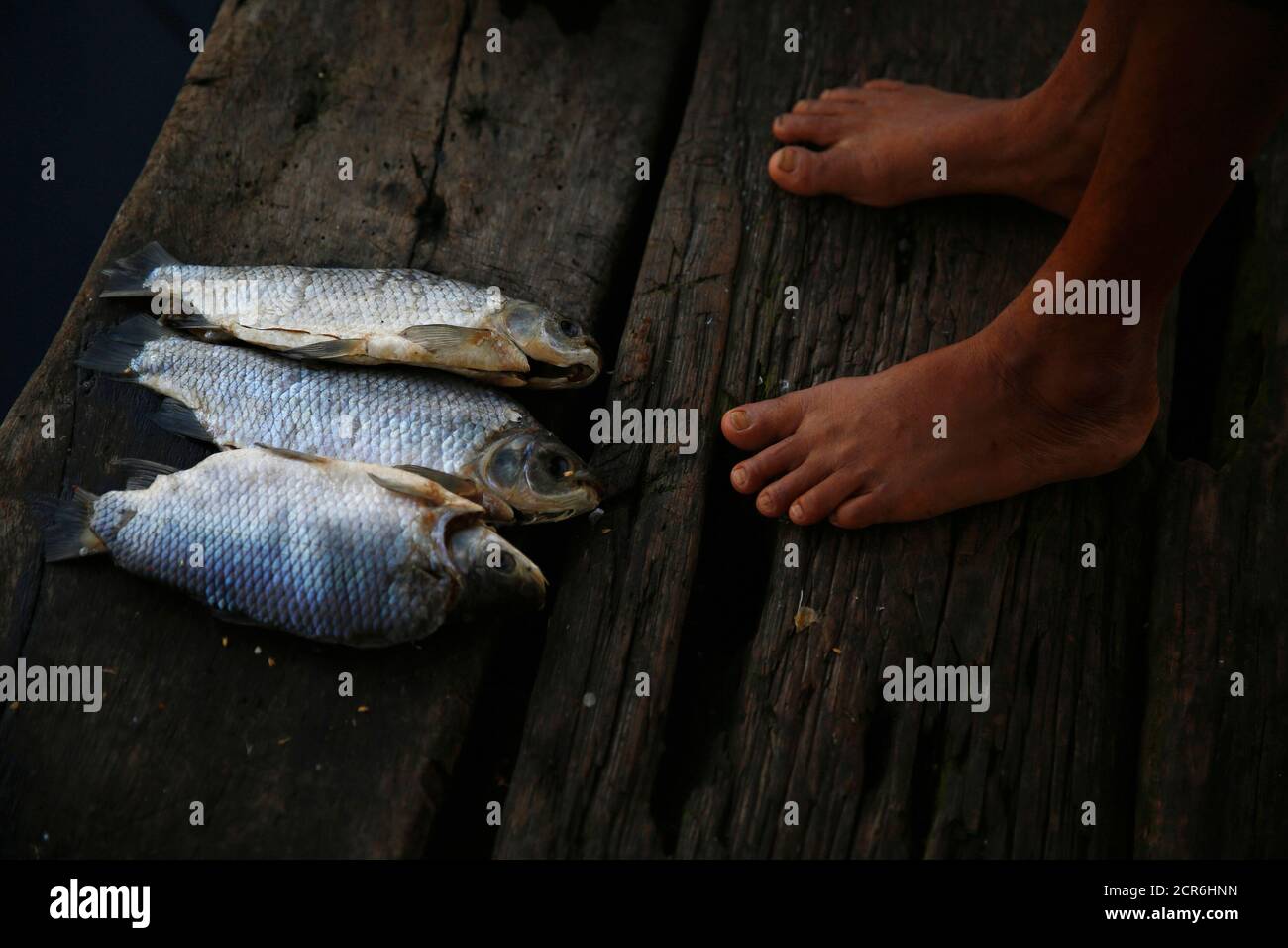 Catatumbo river lightning hi-res stock photography and images - Alamy