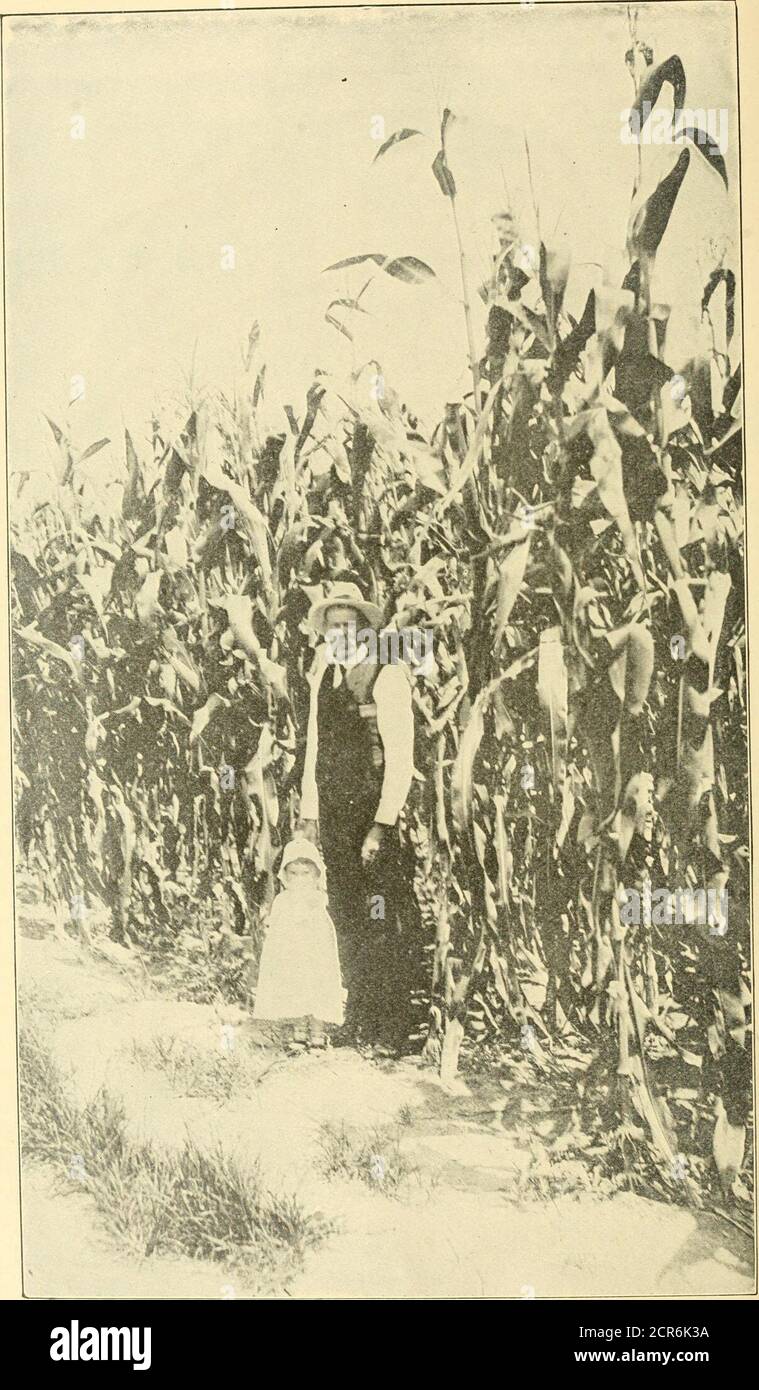 . Improving crop yields by the use of dynamite . soil underlaid by an ...