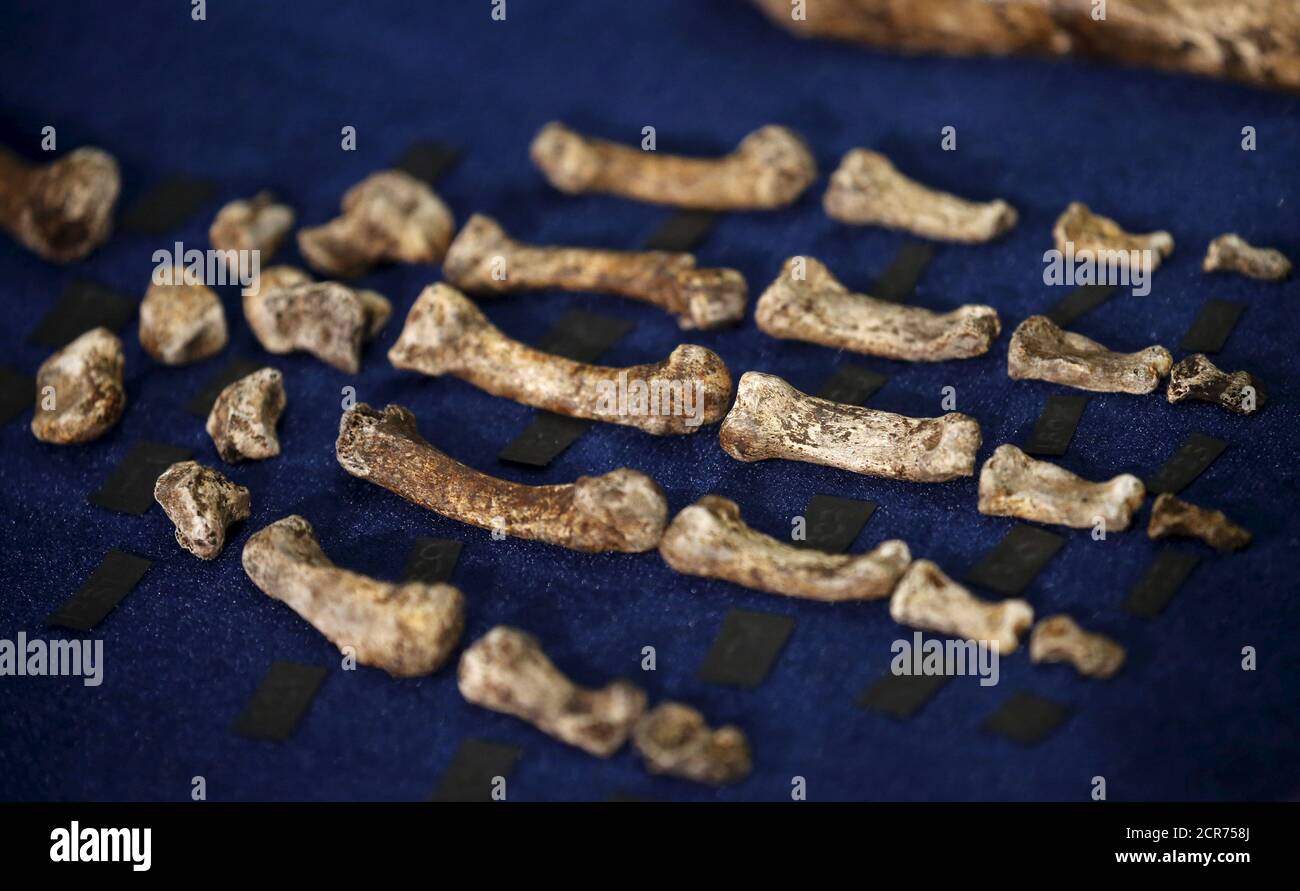 Naledi cave hi-res stock photography and images - Alamy