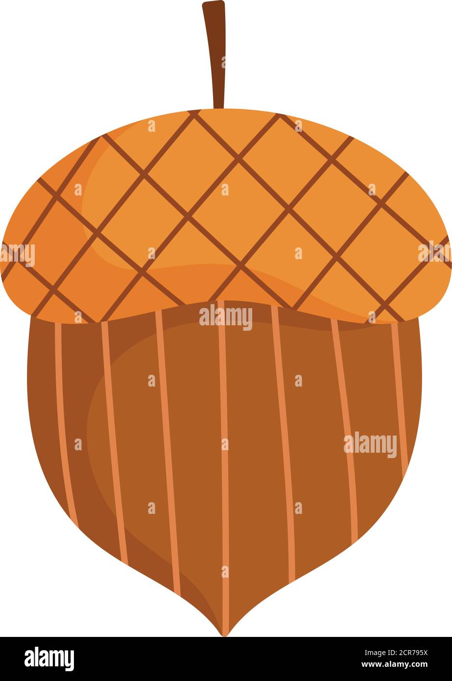 acorn nut nature isolated design white background vector illustration ...