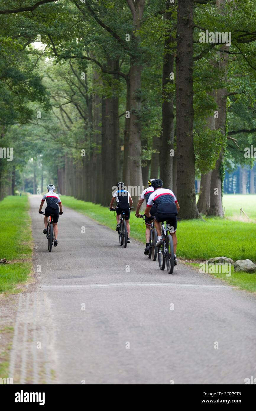 Cyclists with their mountain bikes on tour, Lochem, Netherlands Stock ...